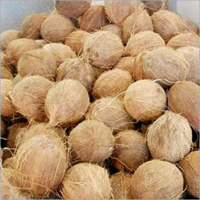 Fully Husked Coconut | LK Trading Lanka (Private) Limited
